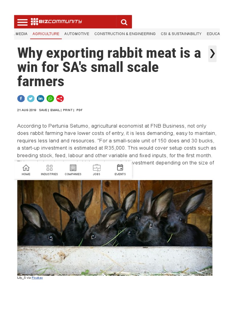 Exporting Rabbit Meat: A Small Farm Opportunity | PDF | Farmer | Rabbit