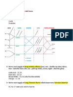 CBC and BMP Fishbone Template | PDF