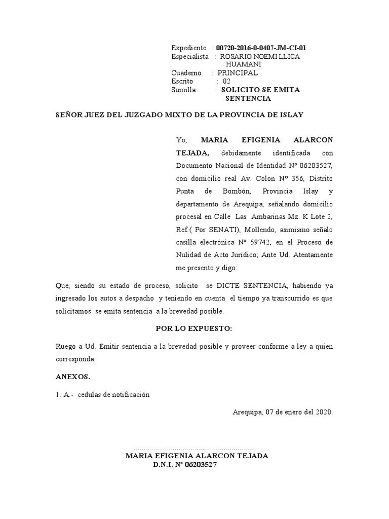 Apersonamiento Maria Efi | PDF