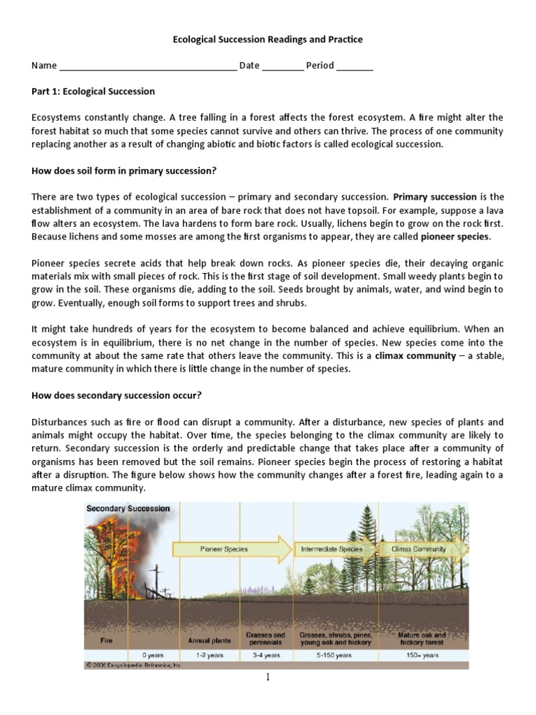 Ecological Succession Worksheet | PDF | Ecosystem | Disturbance (Ecology)