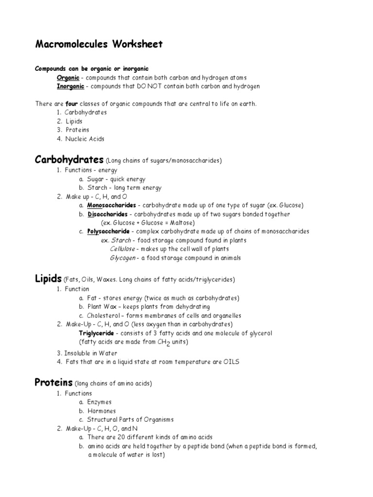 Macromolecules Worksheet | PDF | Nucleotides | Carbohydrates