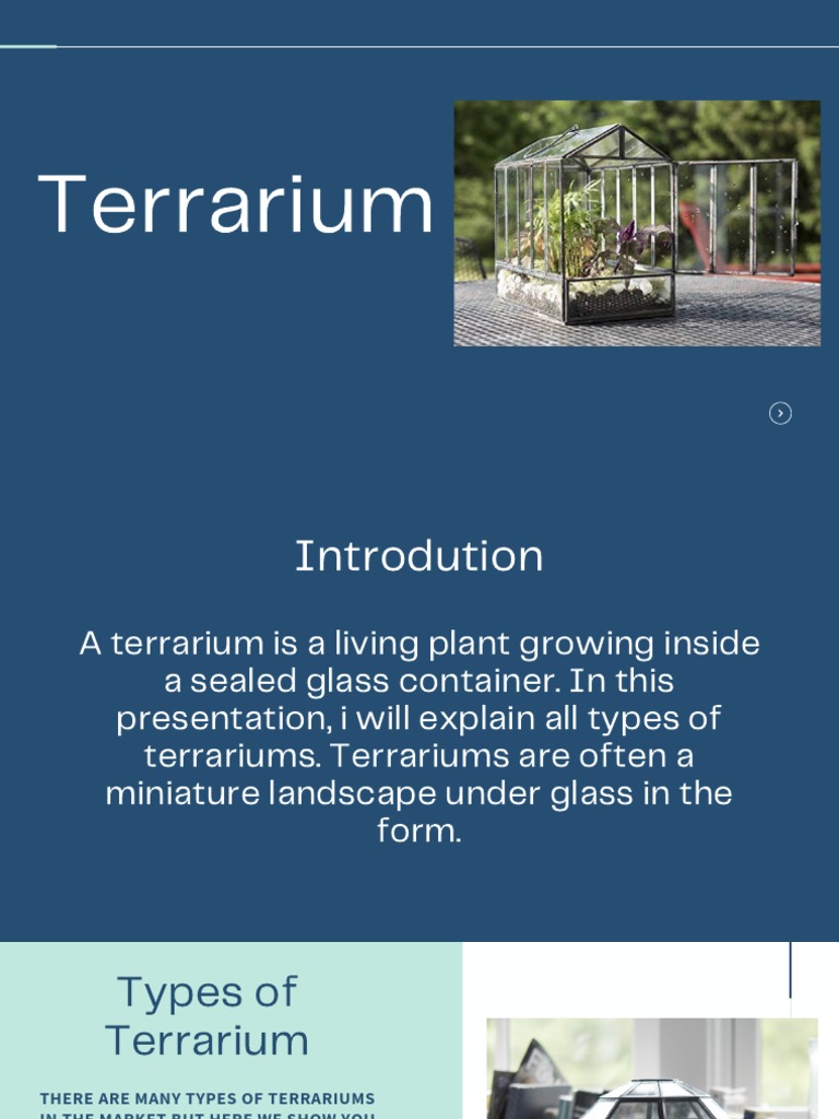 Terrarium | PDF | Home & Garden | Technology & Engineering