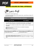 B737 Performance | PDF