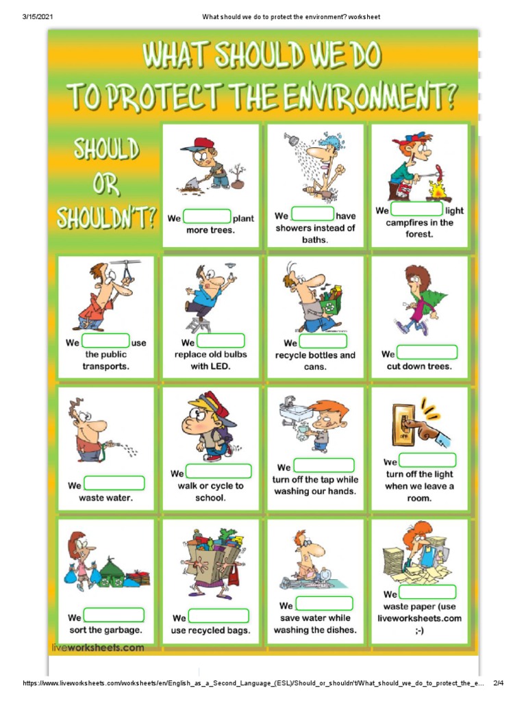 What Should We Do To Protect The Environment - Worksheet | PDF