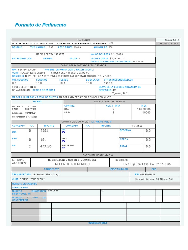Pedimento y Su Instructivo de Llenado | PDF | Business | Science