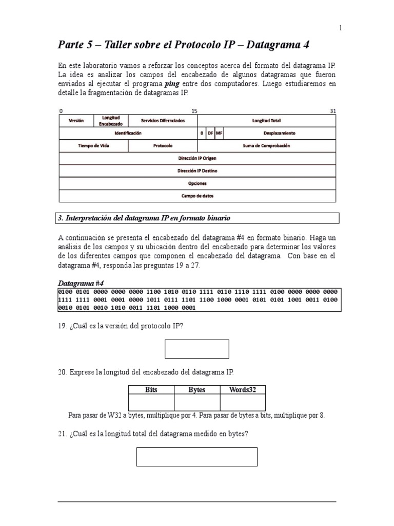 Taller Datagrama IP - 5 | PDF | Métodos y materiales de enseñanza | Informática