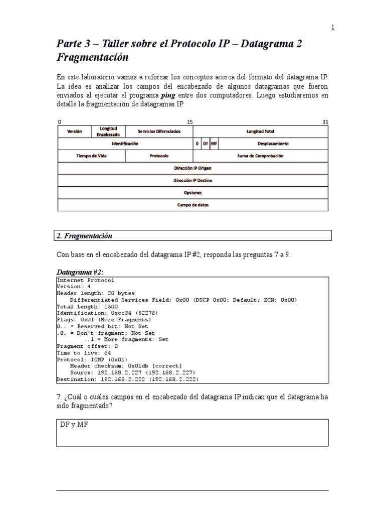 Taller Datagrama IP - 3 | PDF