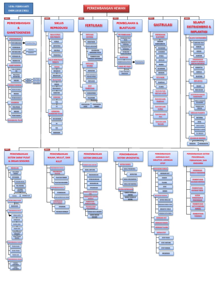 Peta Konsep PH | PDF