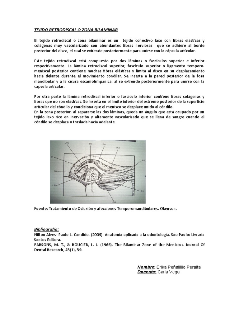 Tejido Retrodiscal y Zona Bilaminar | PDF