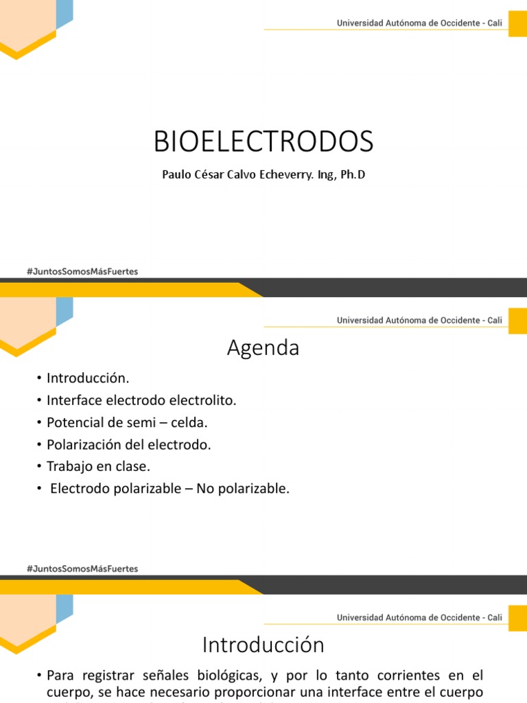 Bio Electro Dos | PDF | Electrodo | Electrólito