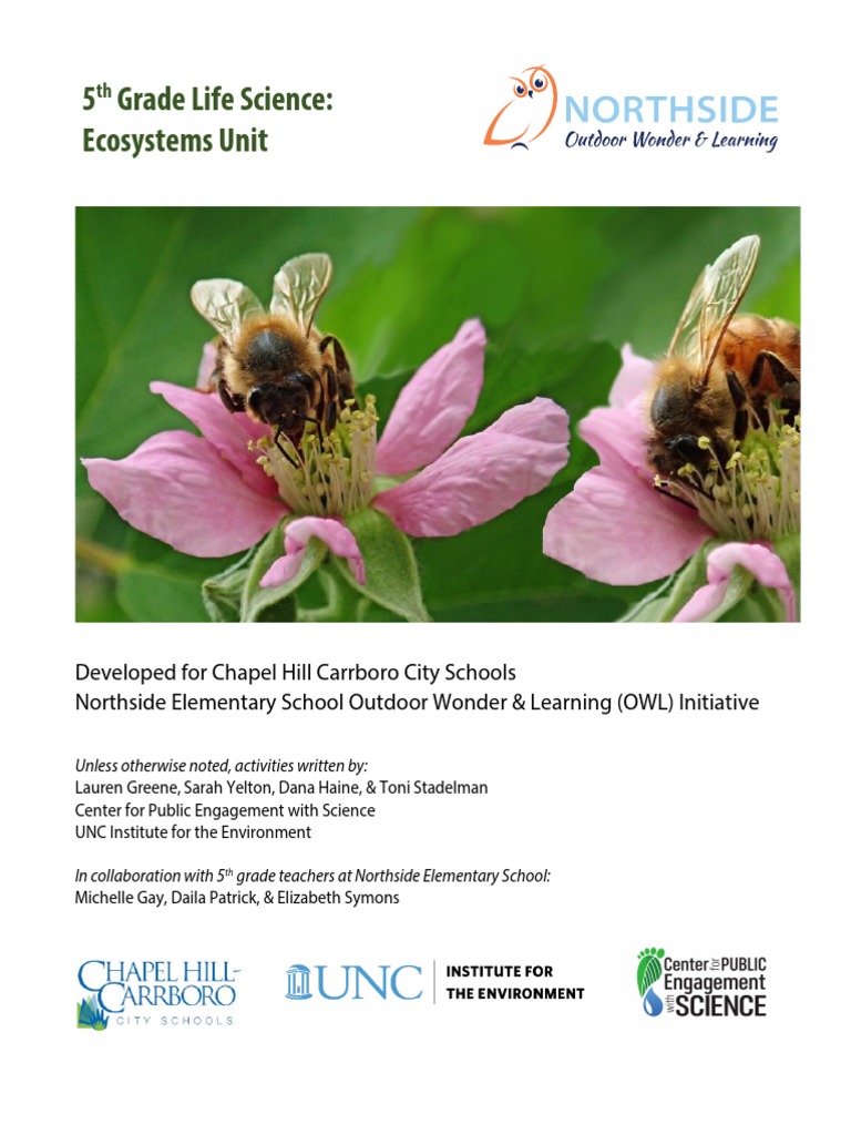 5th Grade Ecosystems Unit Overview | PDF | Aquatic Ecosystem | Natural ...