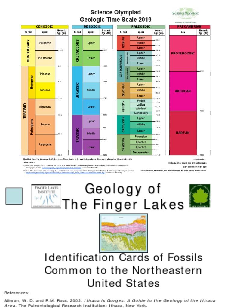 Science Olympiad Fossils Cheat Sheet | PDF | Geologic Time Scale | Fossil