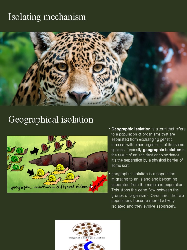 Isolating Mechanism | Download Free PDF | Species | Biology Theories