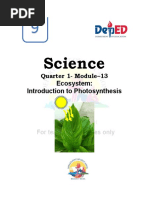 Science Quarter 1 Module 6 | PDF | Cellular Respiration | Photosynthesis