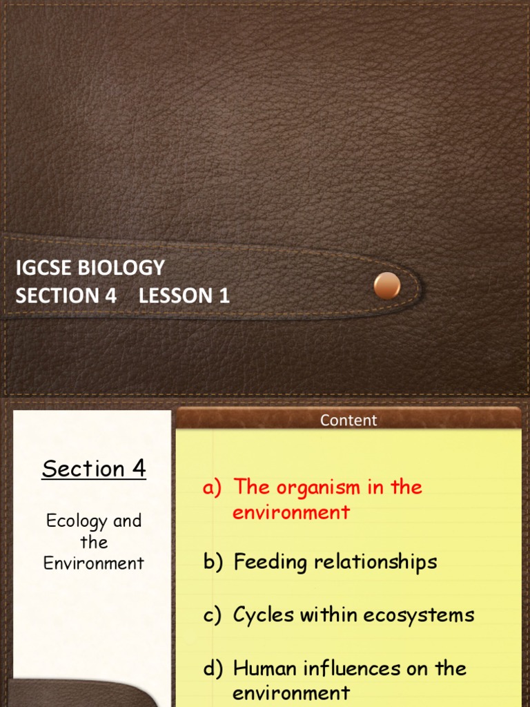 IGCSE Biology Section 4 Lesson 1 | PDF | Ecology | Environmental Science