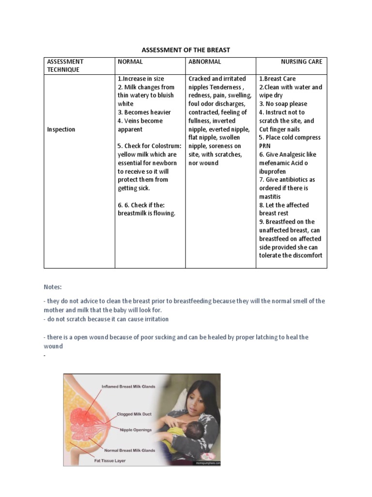 OB Rotation | PDF | Postpartum Period | Breastfeeding