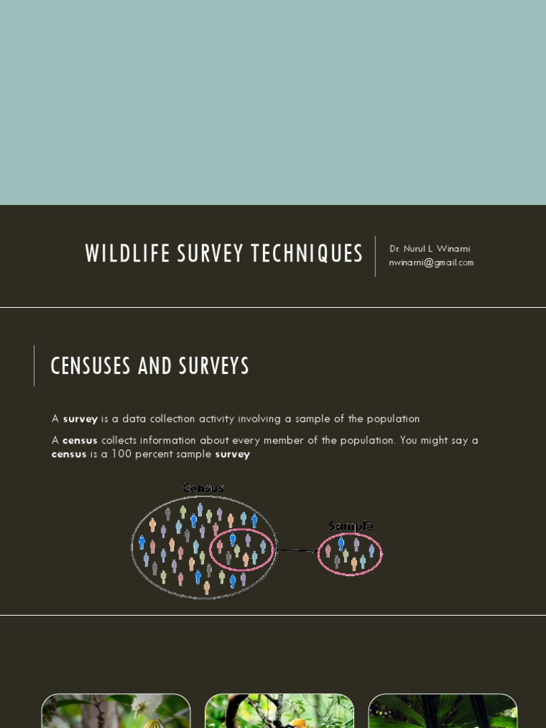 Wildlife Census Techniques Overview | PDF | Disturbance (Ecology ...