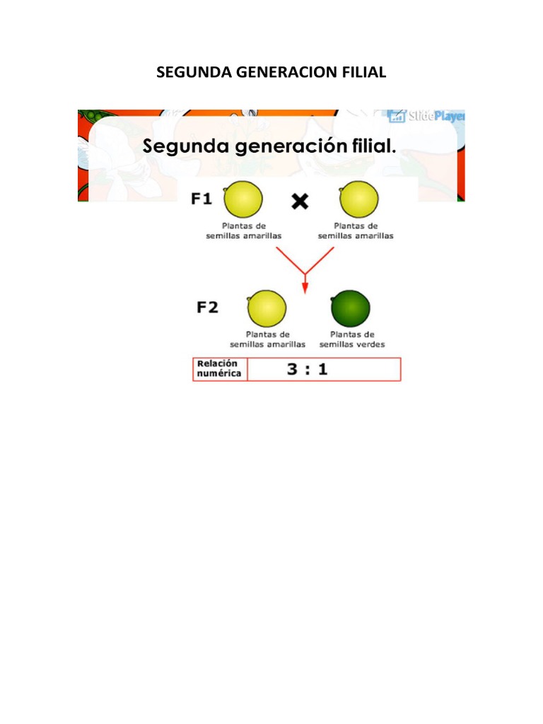 Segunda Generacion Filial | PDF