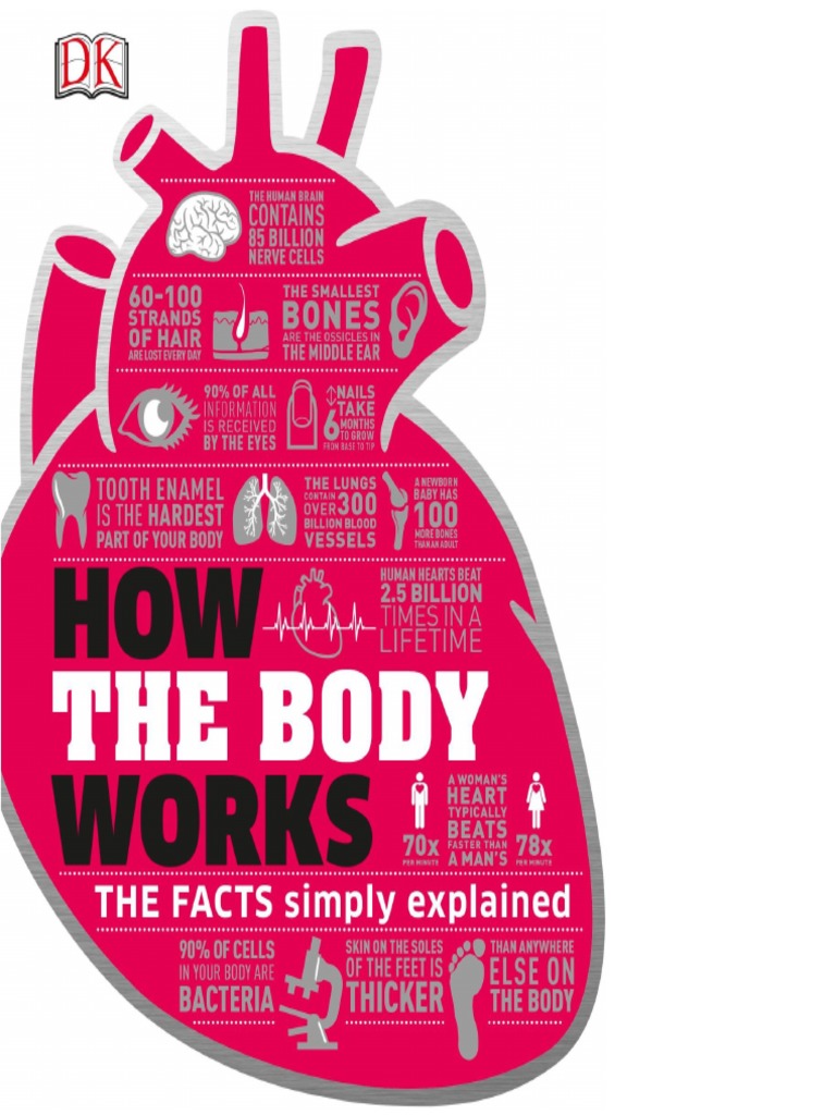 How The Body Works | PDF | Human Body | Mitosis