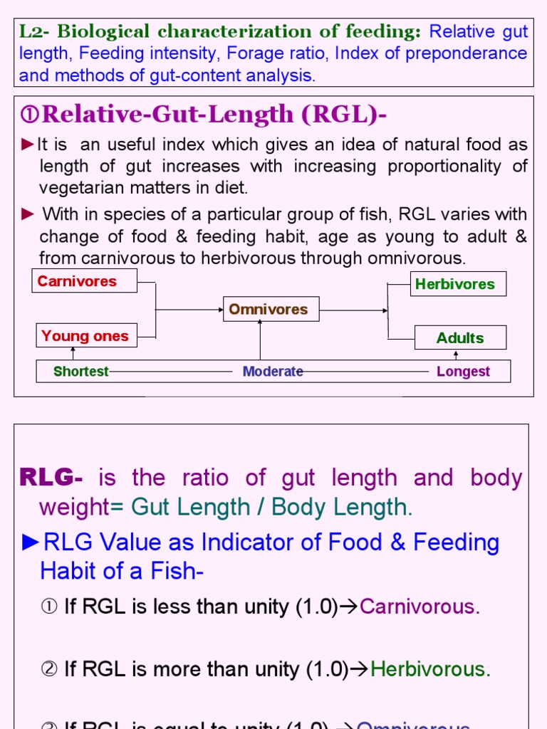 Relative-Gut-Length (RGL) - : L2-Biological Characterization of Feeding ...