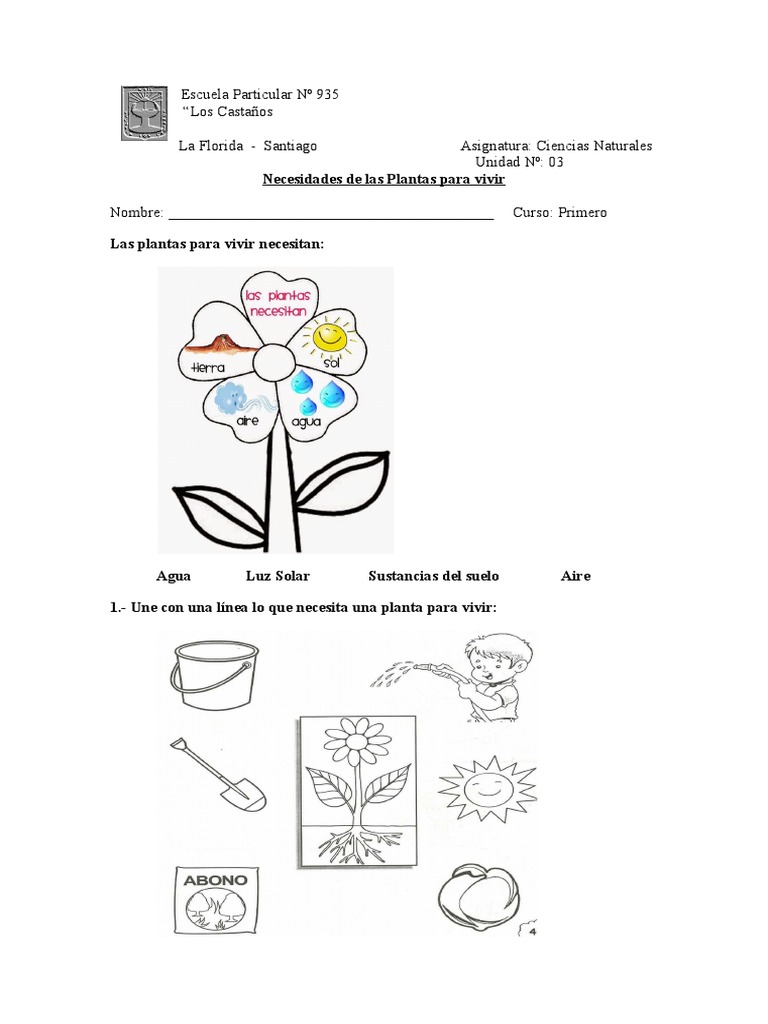 Necesidades de las Plantas para Primero Básico | PDF | Hogar ...