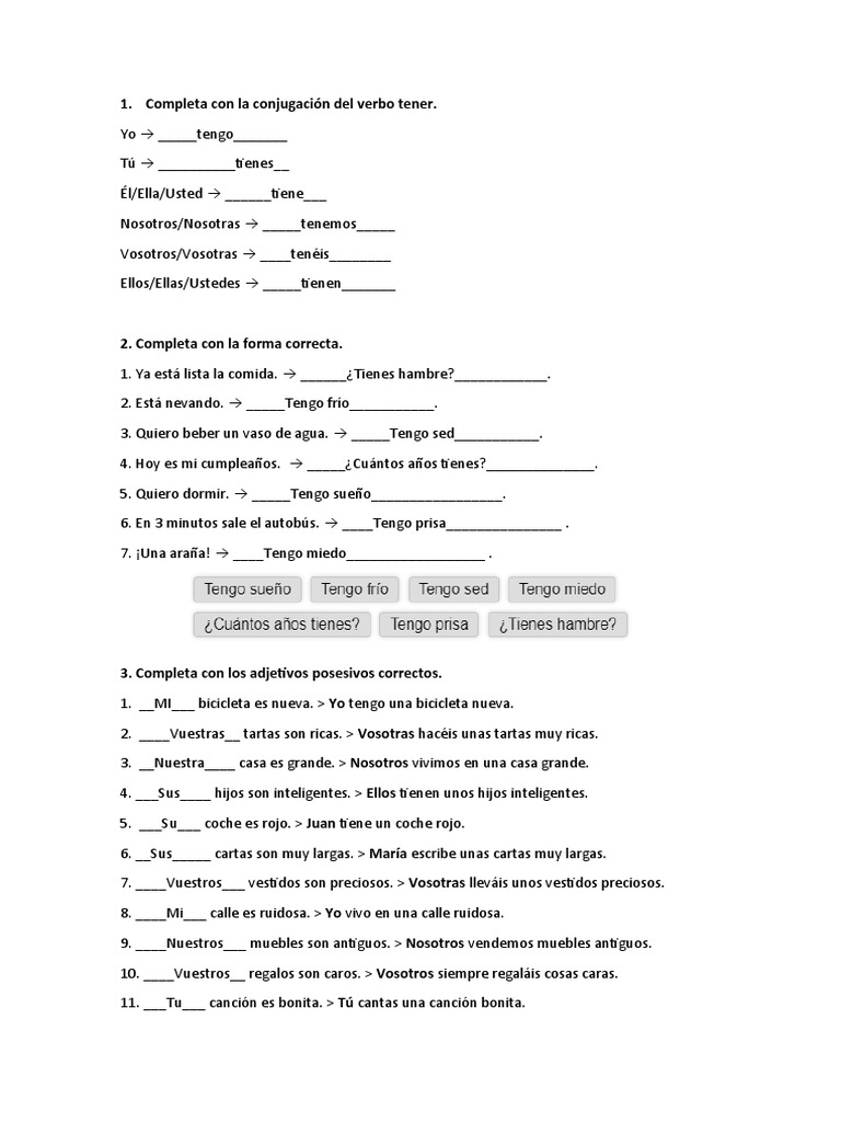 Ejercicios Verbo Tener-Adjetivos Posesivos | PDF