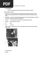 Thorax PA, AP Dan Lateral, RLD Dan LLD | PDF