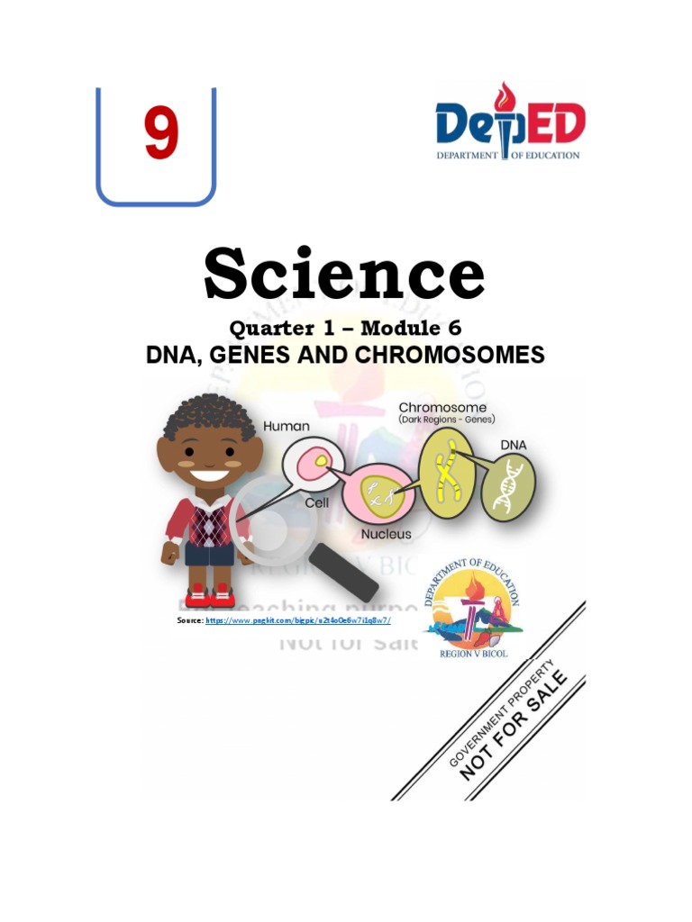 6 Quarter 1 Module 6-STRUCTURE-OF-DNA | PDF | Dna | Nucleotides