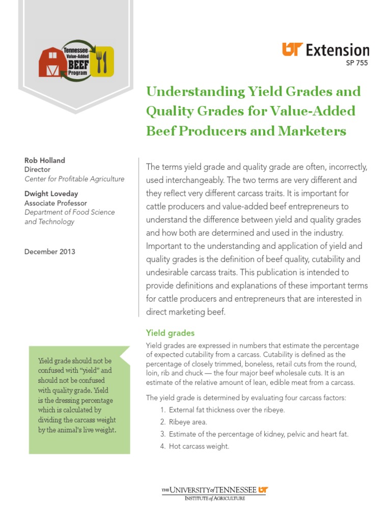 Yield and Quality Grades in Beef Production | PDF | Food Industry ...