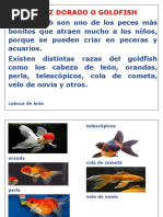 Guía Completa sobre Goldfish | PDF | Pescado