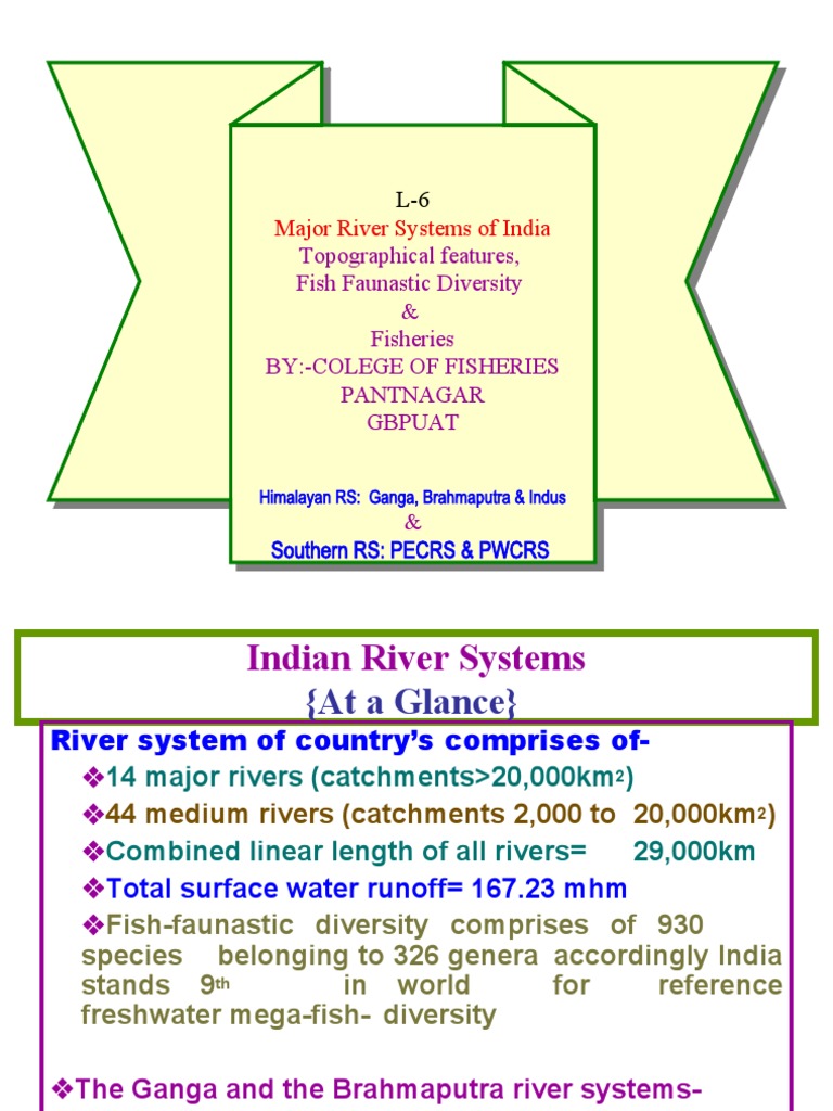 INDIAS River System) | Download Free PDF | Indus River | Aquatic Biomes