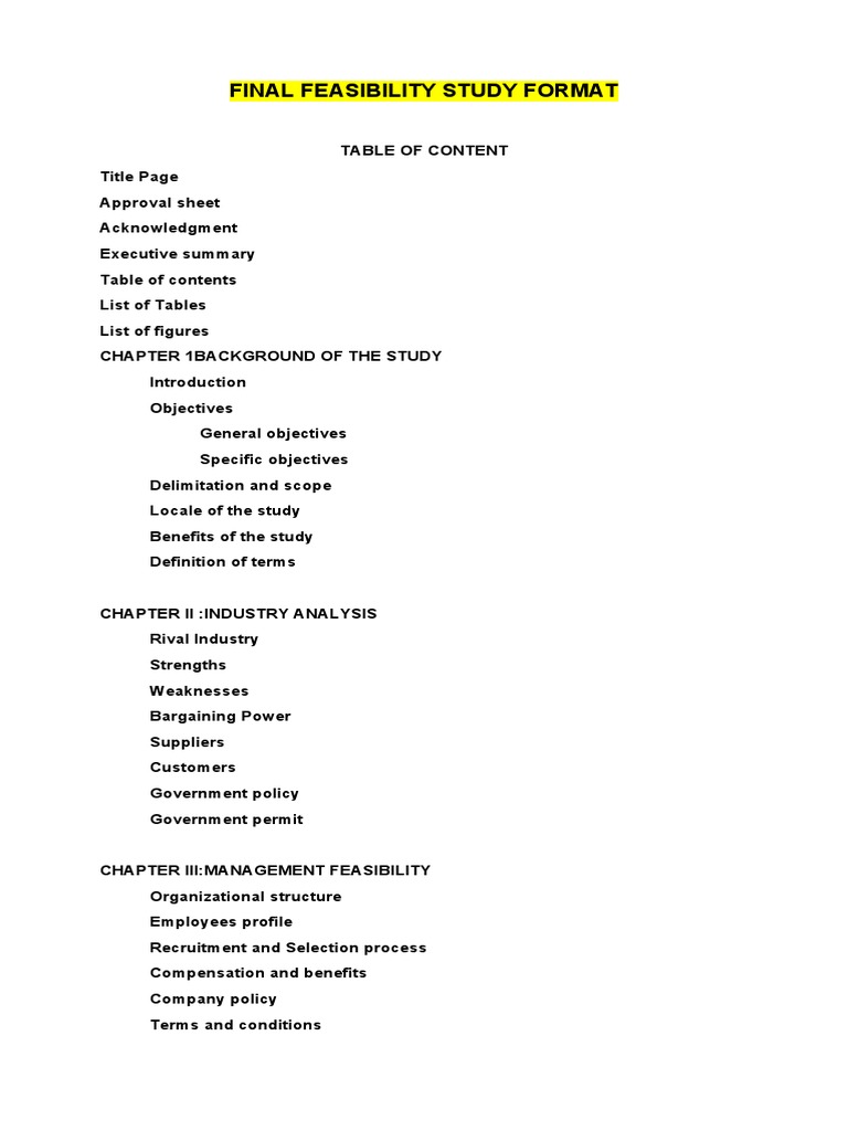 Final Feasibility Study Format | PDF