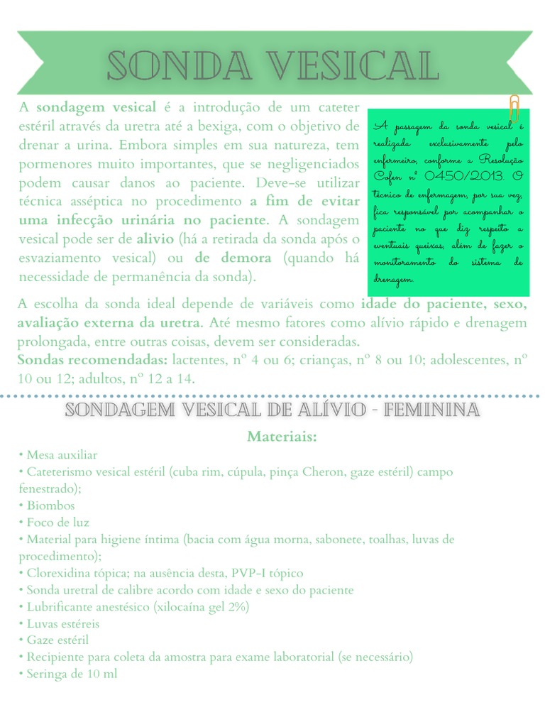 Sonda Vesical Feminina | PDF | Infecção do trato urinário | Enfermagem