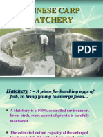 Pisciculture: Overview and Practices | PDF | Fishkeeping | Fish