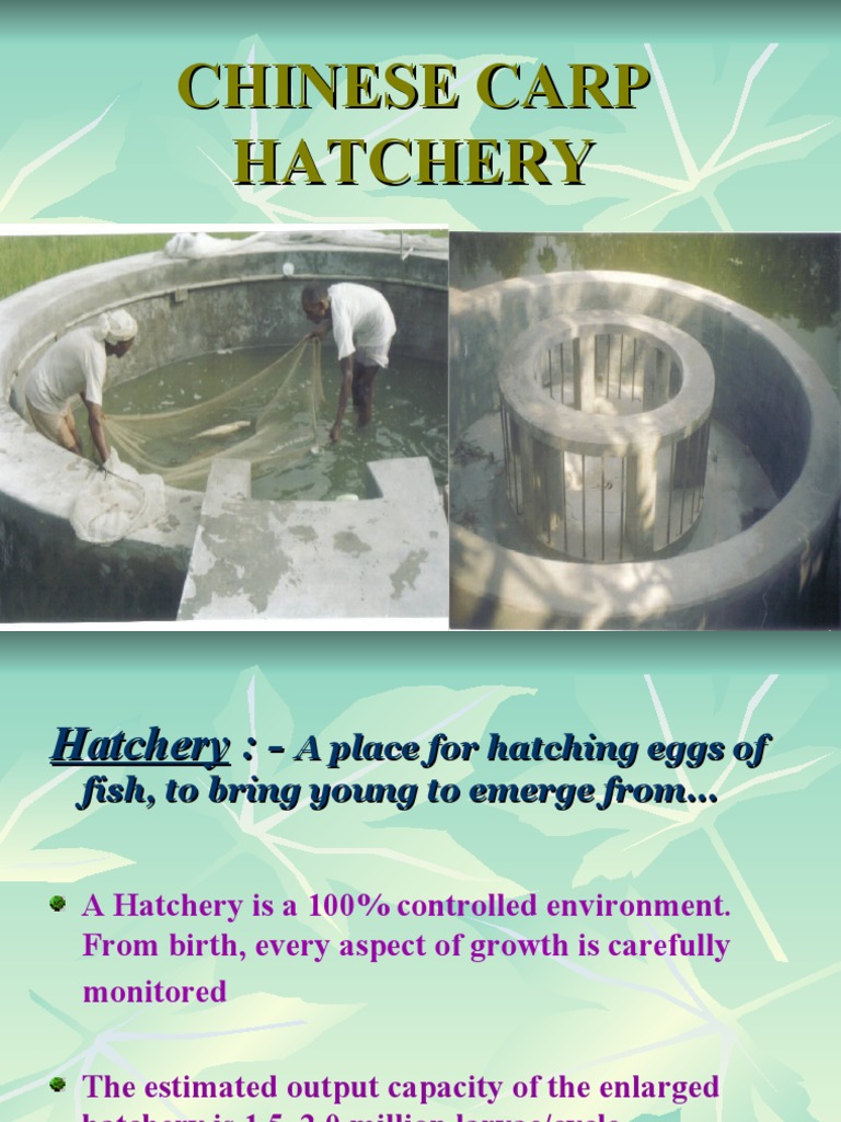 Chinese Circular Fish Hatchery | PDF | Spawn (Biology)