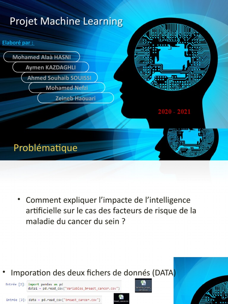 Projet Machine Learning | PDF | Apprentissage automatique ...