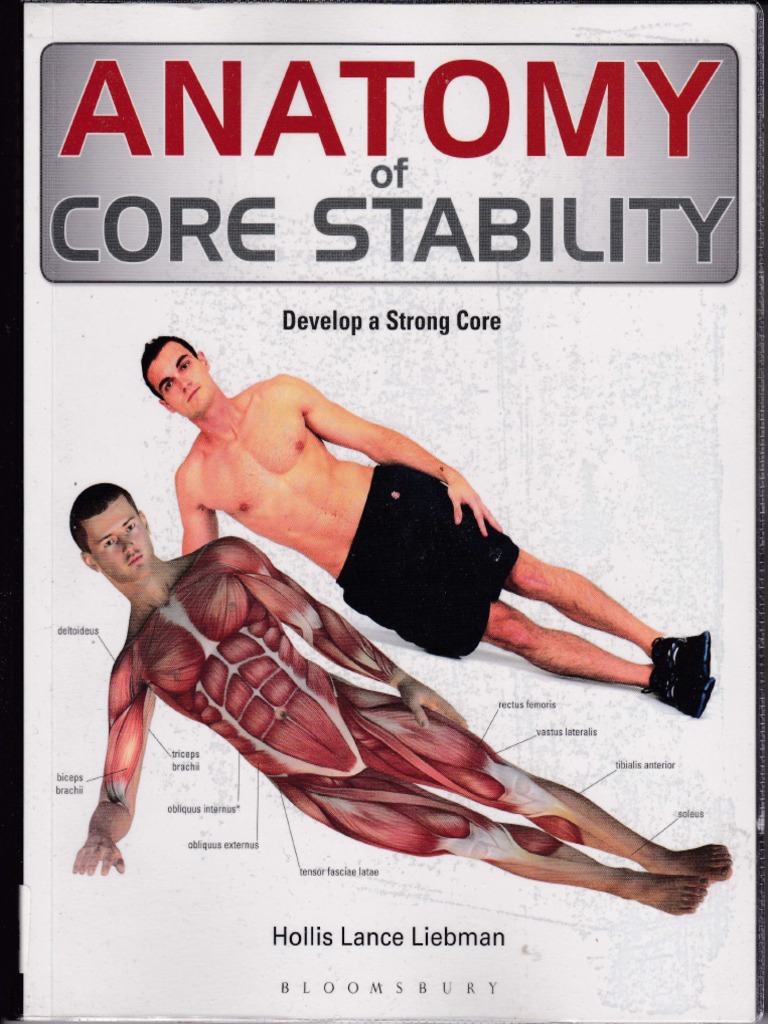 Anatomy of Core Stability | PDF | Joints | Lower Limb Anatomy