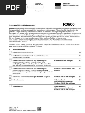 Vordruck V0410 Antrag Auf Kontenklärung: (Kein Rentenantrag) | PDF