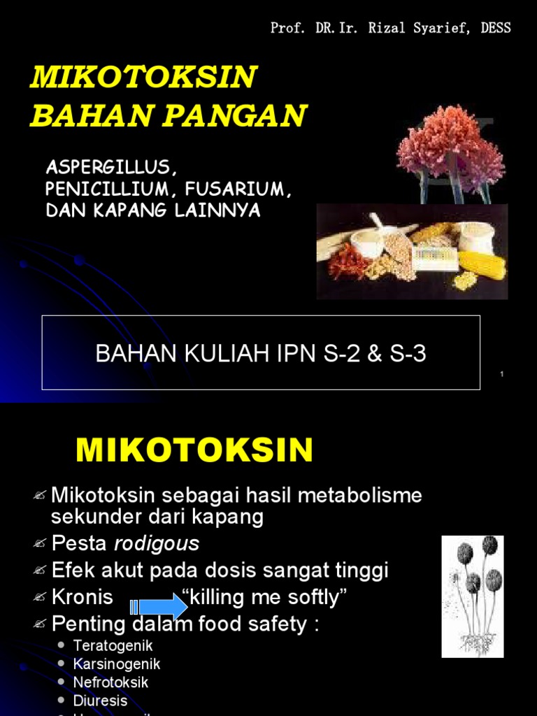 Mikotoksin Bahan Pangan: Bahan Kuliah Ipn S-2 & S-3 | PDF | Mycotoxin ...