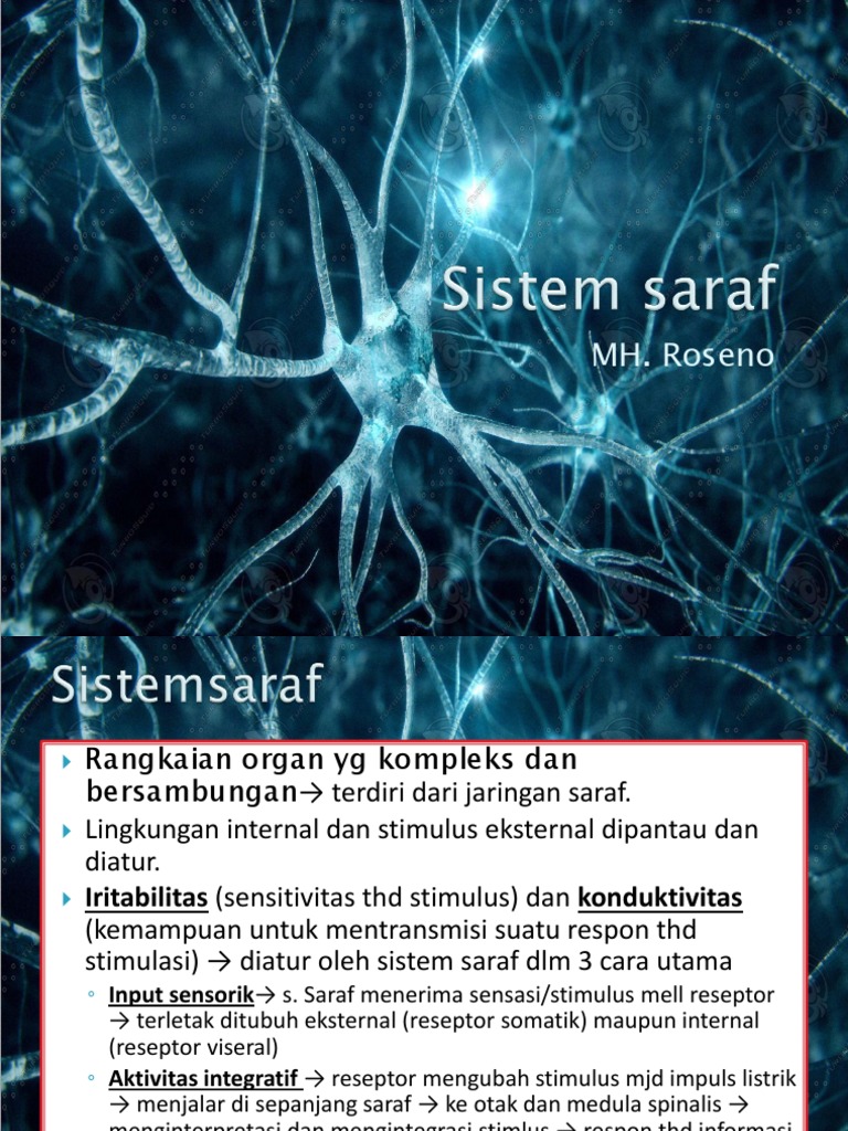 Sistem Saraf | PDF