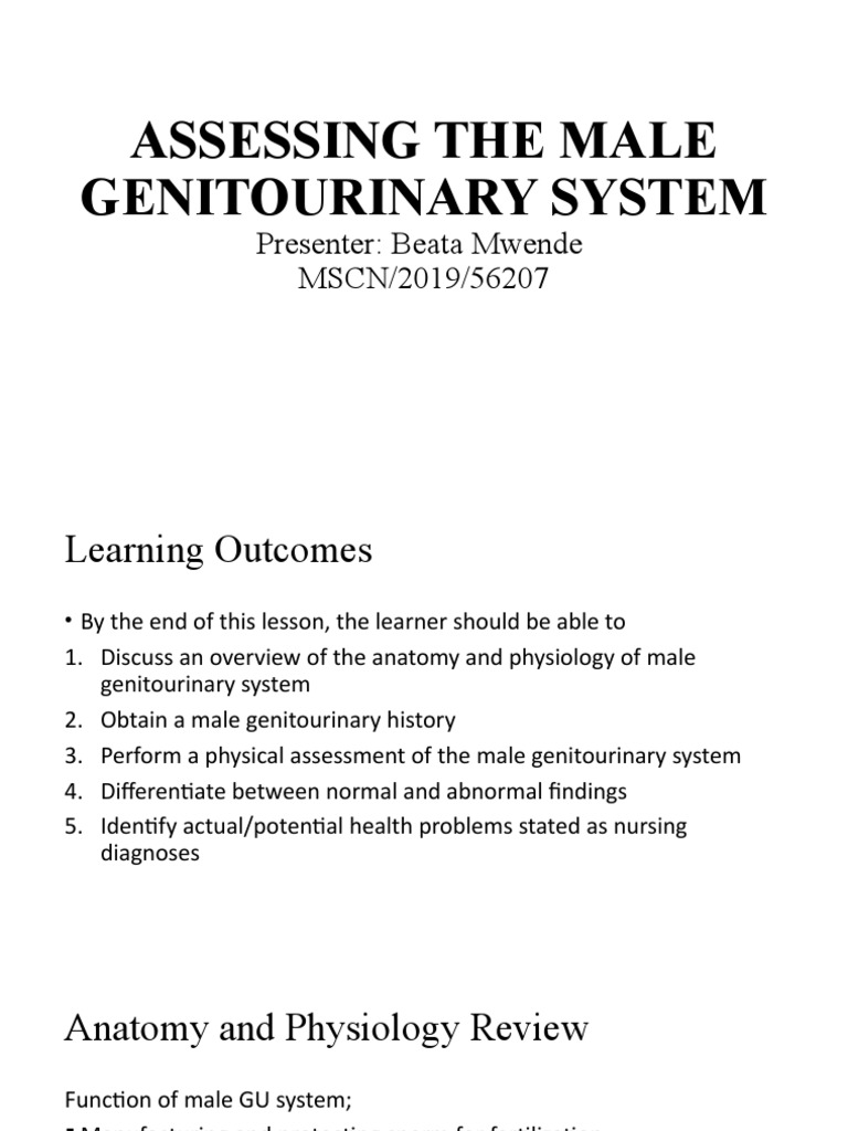 Male Genitourinary System Assessment | PDF | Sexually Transmitted ...