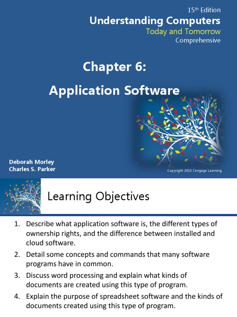 Morley15e PPT Ch06 REV | PDF | Spreadsheet | Databases