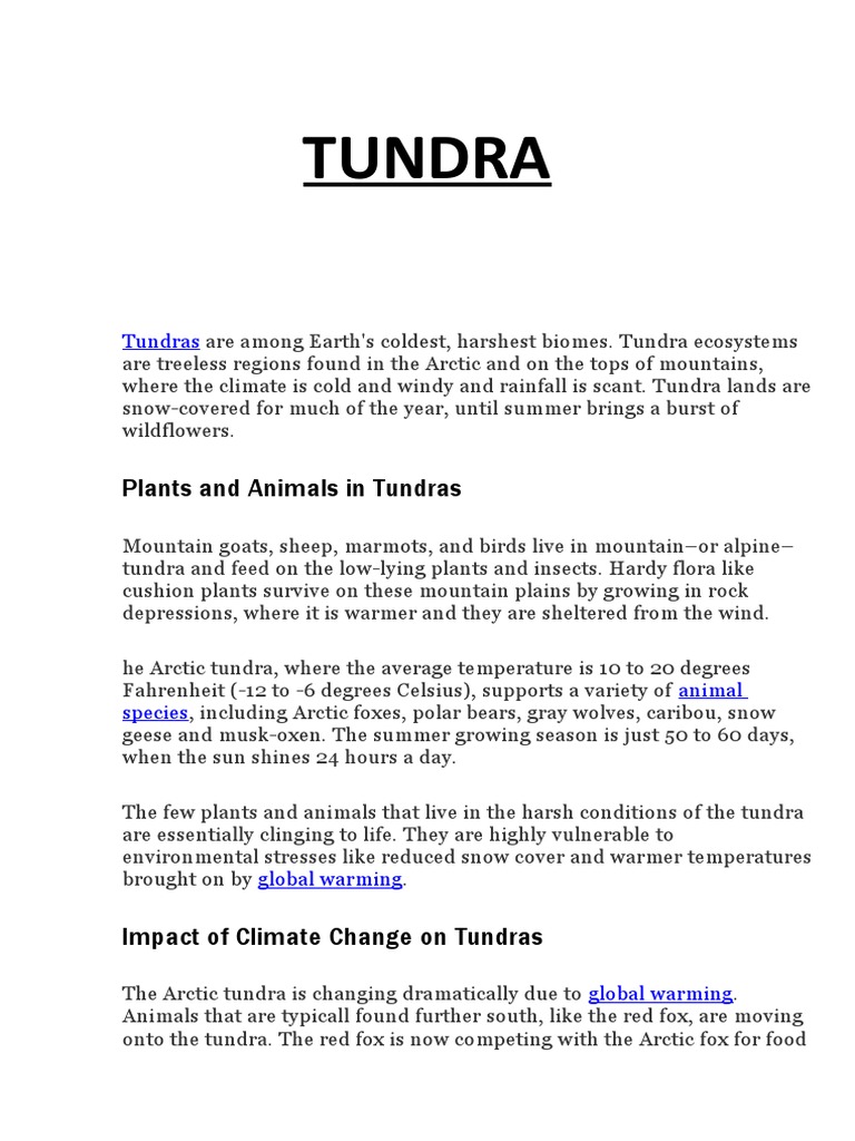 Tundra: Plants and Animals in Tundras | PDF | Arctic | Climate