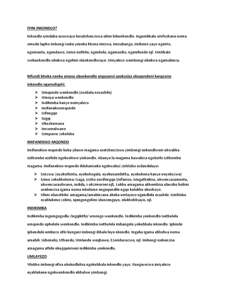Iyini Inkondlo | PDF