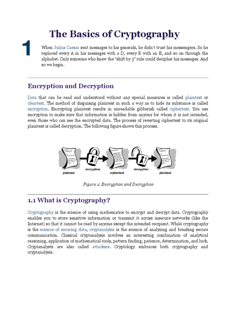 The Basics of Cryptography: Encryption and Decryption | PDF | Cryptography | Encryption
