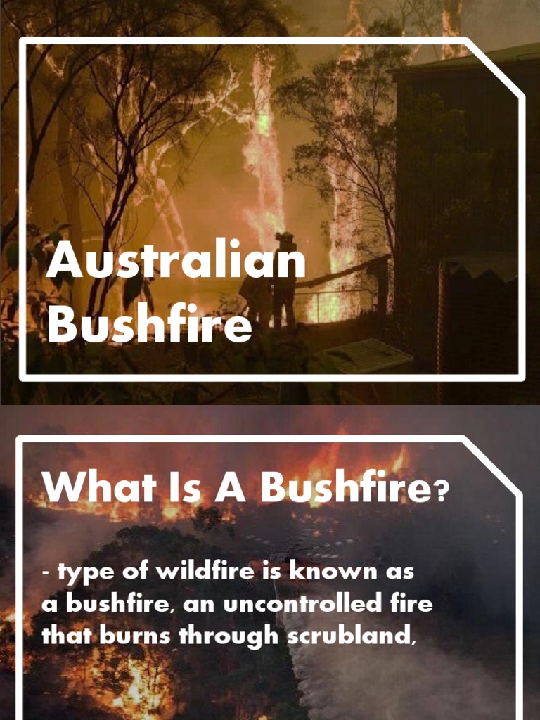Bushfire | PDF | Wildfire | Natural Events