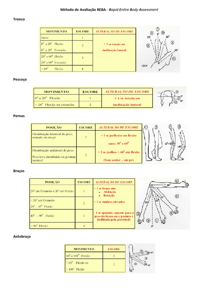 Guia passo-a-passo para avaliação ergonômica do corpo inteiro ...