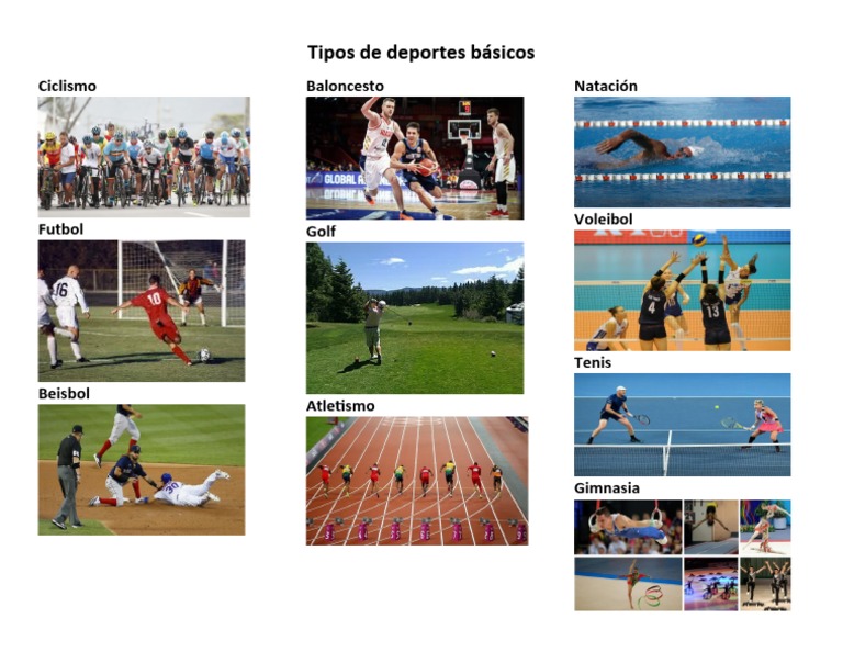 Tipos de Deportes Básicos | PDF