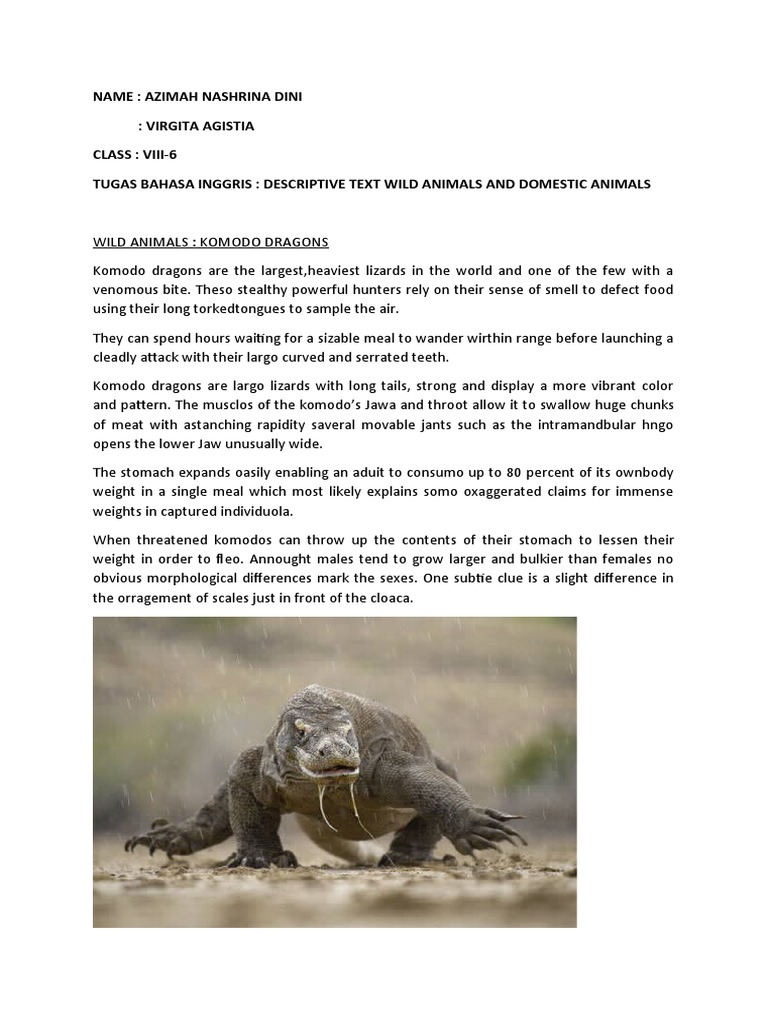 Name: Azimah Nashrina Dini: Virgita Agistia Class: Viii-6 Tugas Bahasa ...