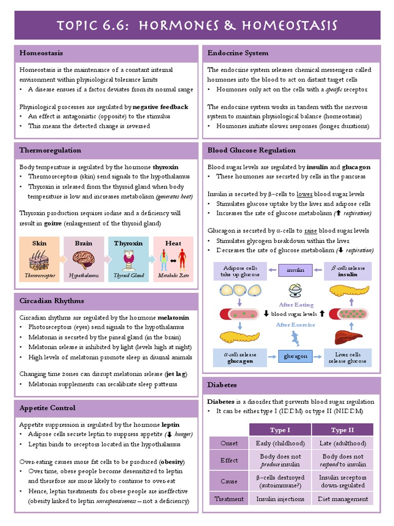 6.6 Hormones & Homeostasis | Download Free PDF | Hormone | Leptin